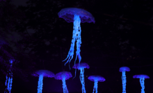 Brilliant appearance from Vivak® Copolyester sheets